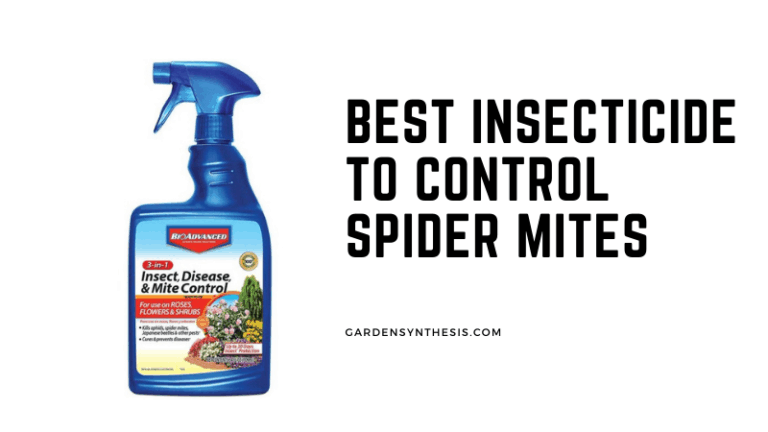 Best Insecticide For Indoor Plants in 2023 – Expert’s Advice