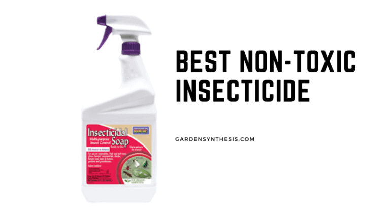 Best Insecticide For Indoor Plants in 2023 – Expert’s Advice
