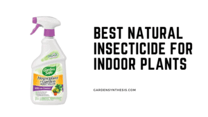 Best Insecticide For Indoor Plants in 2023 – Expert’s Advice