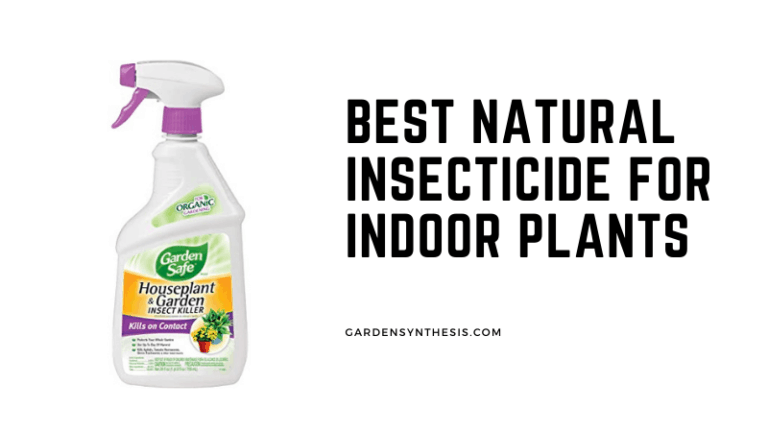 Best Insecticide For Indoor Plants in 2023 – Expert’s Advice