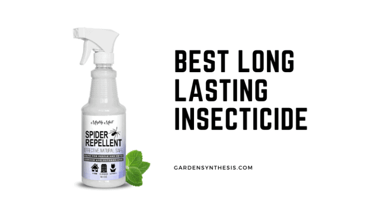 Best Insecticide For Indoor Plants in 2023 – Expert’s Advice