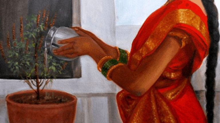 Why Does Tulsi Plant Die In Winter? How to Revive a Dying Tulsi Plant?